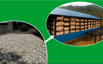 Mu Rwanda,ikigori ni imari ikomeye – kubahonet.com