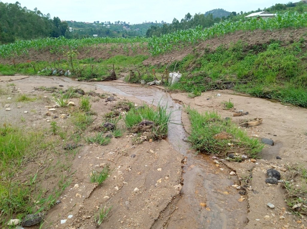 RWANDA: UBUTAKA BURADUCIKA, ABABISHINZWE BAREBERA! – kubahonet.com